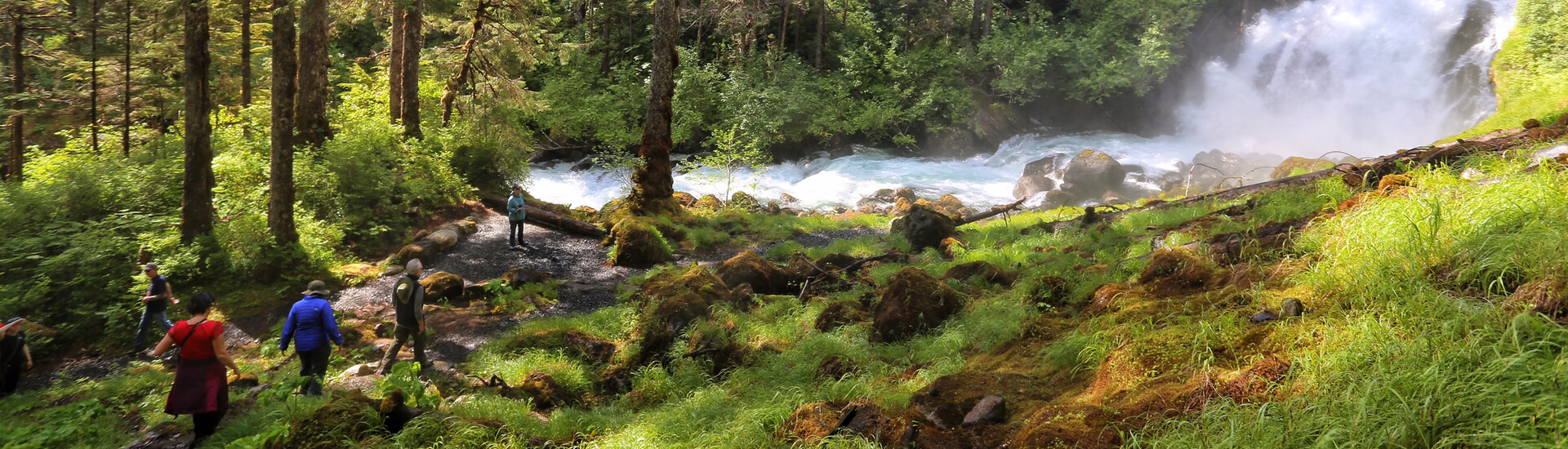 Active Exploration | Alaskan Dream Cruises